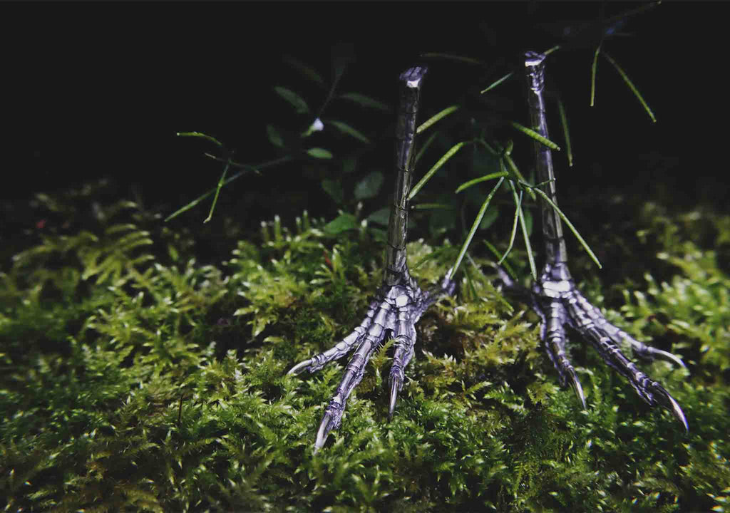 Pair of Crow Feet – A Little Dark